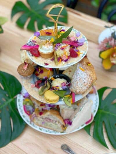 Tropical Garden Tea | The Watering Can Flower Market