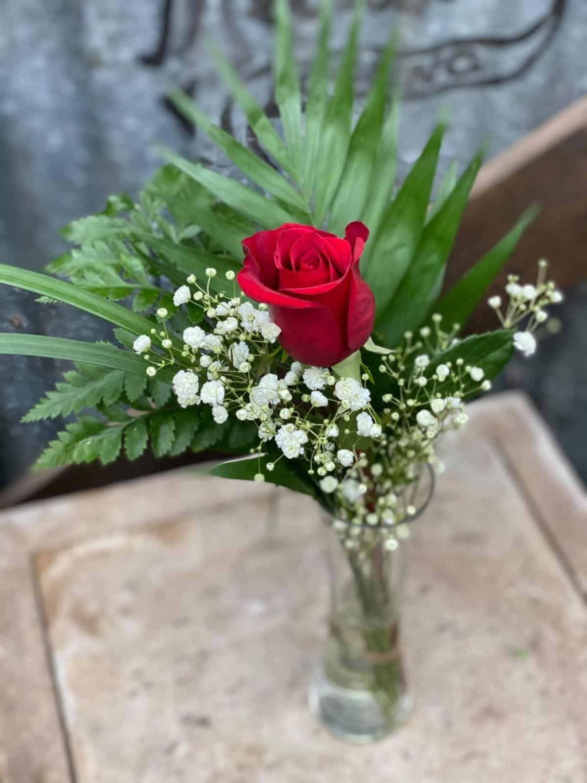 Single Rose Stems | The Watering Can Flower Market