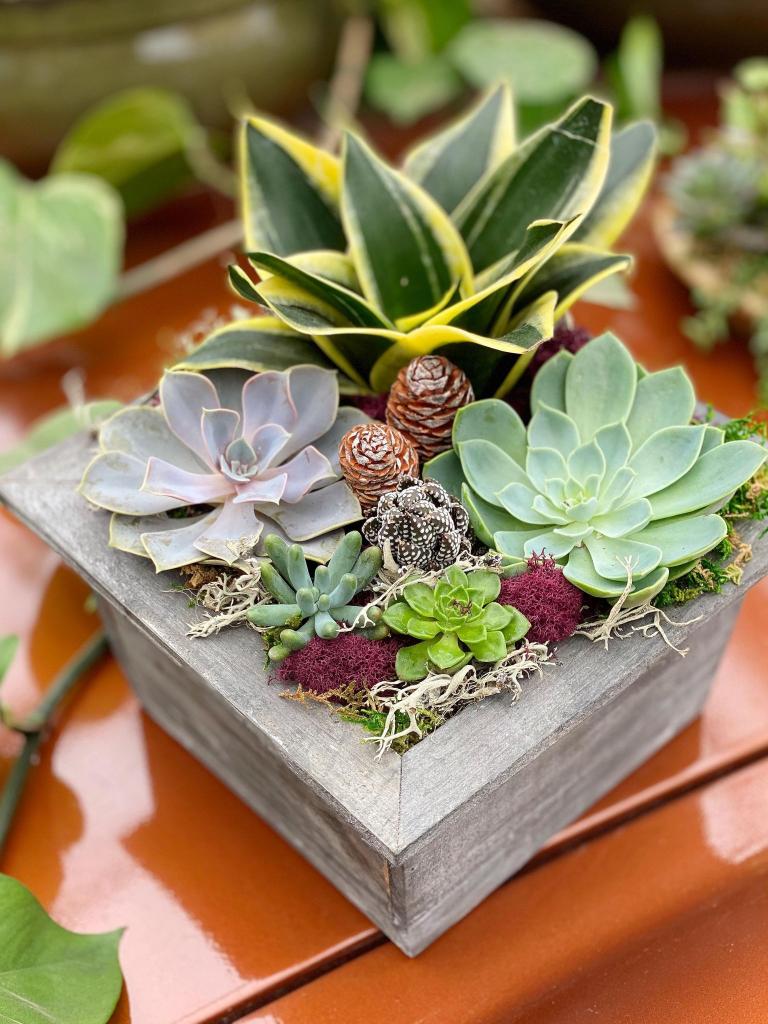 Rustic Oasis | The Watering Can Flower Market