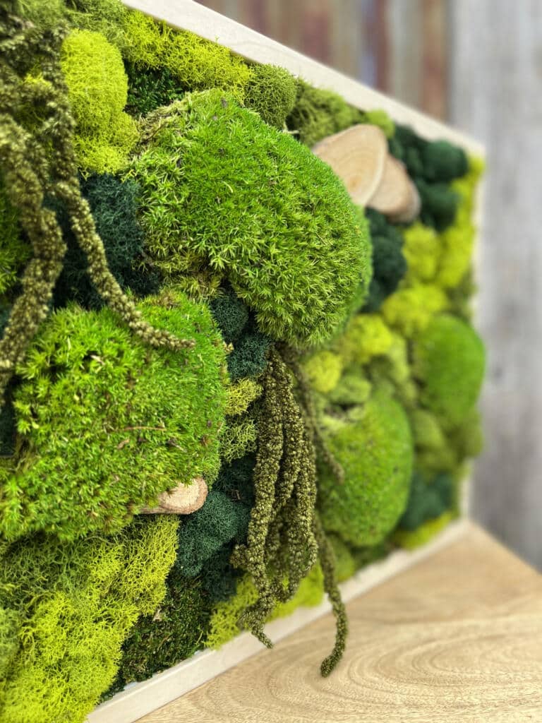 Premium Moss Frame | The Watering Can Flower Market