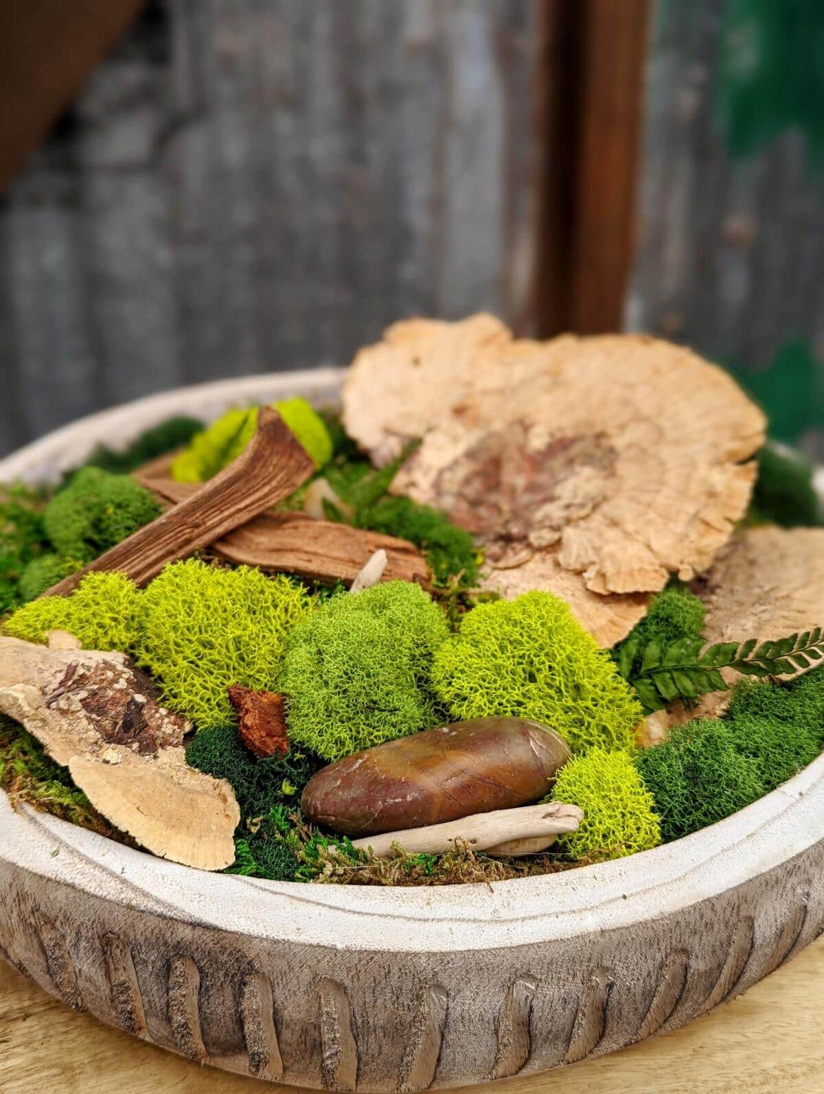 Premier Moss Art | Niagara | The Watering Can Flower Market