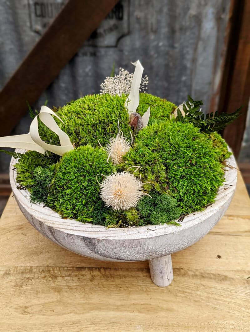 Premier Moss Art | Niagara | The Watering Can Flower Market