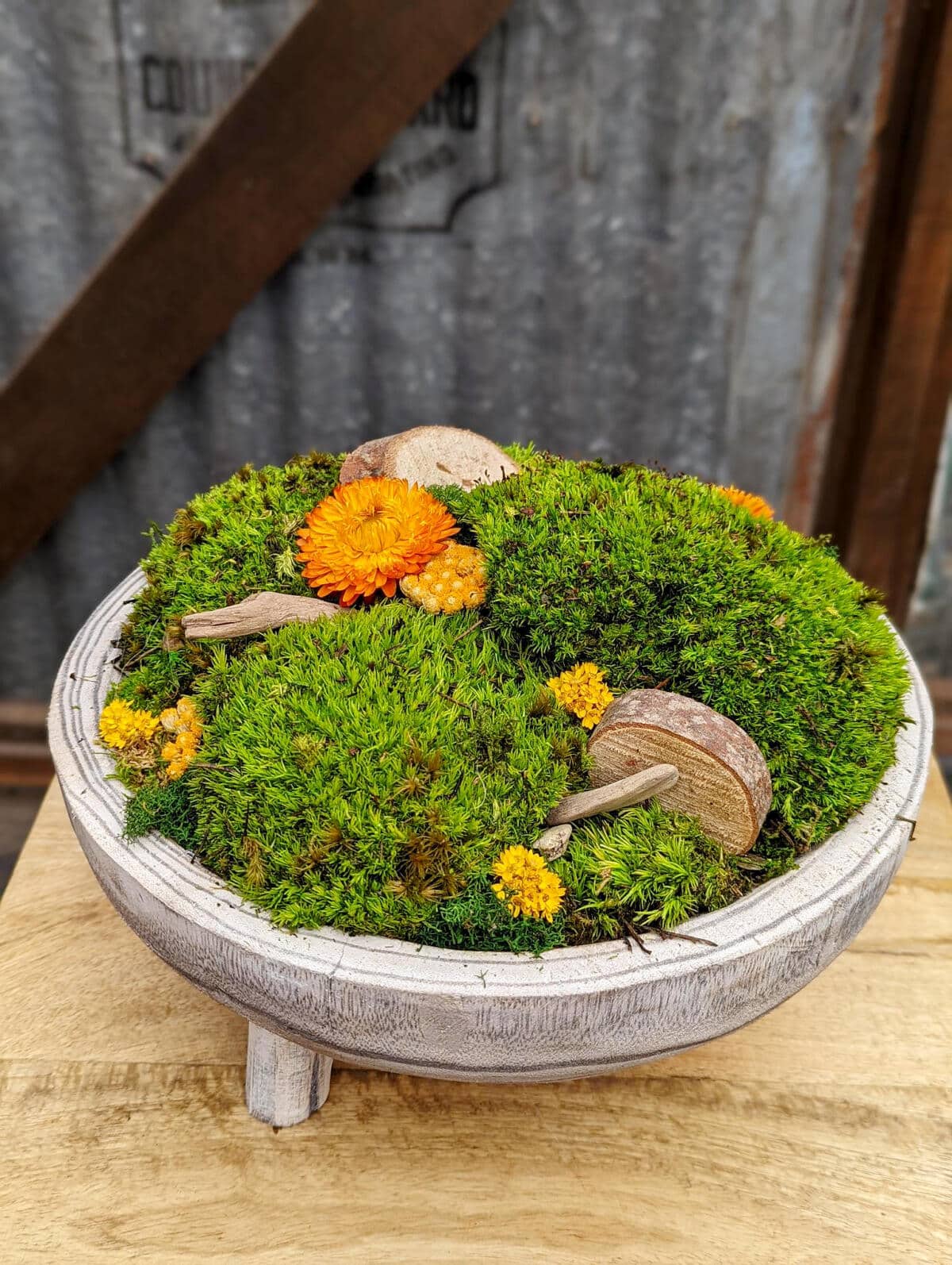 Premier Moss Art | Niagara | The Watering Can Flower Market