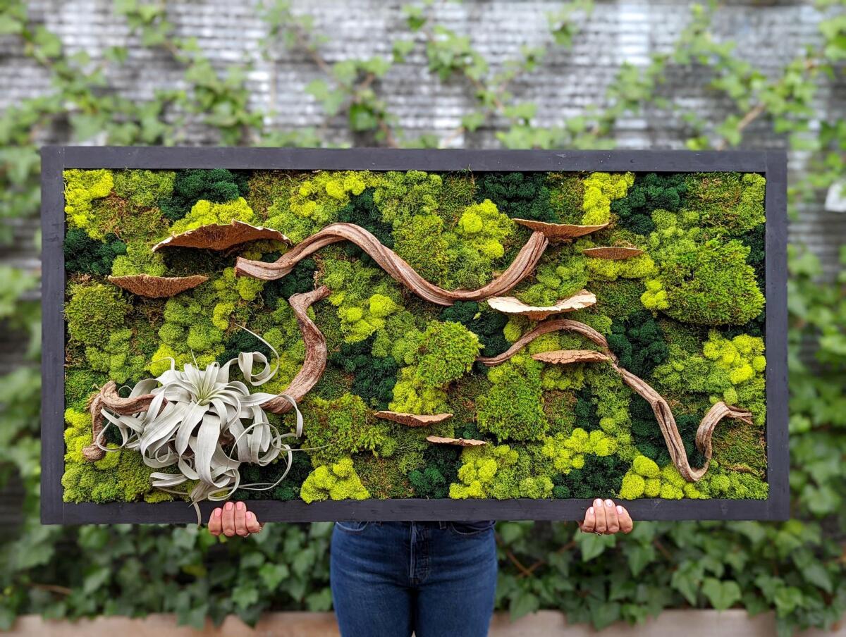 Premier Moss Art | Niagara | The Watering Can Flower Market