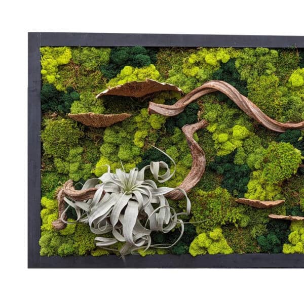 Premier Moss Art | Niagara | The Watering Can Flower Market