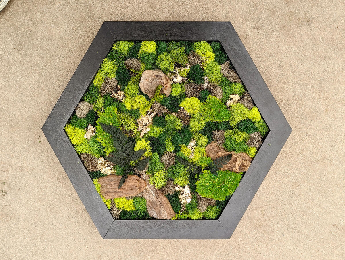 Premier Moss Art | Niagara | The Watering Can Flower Market