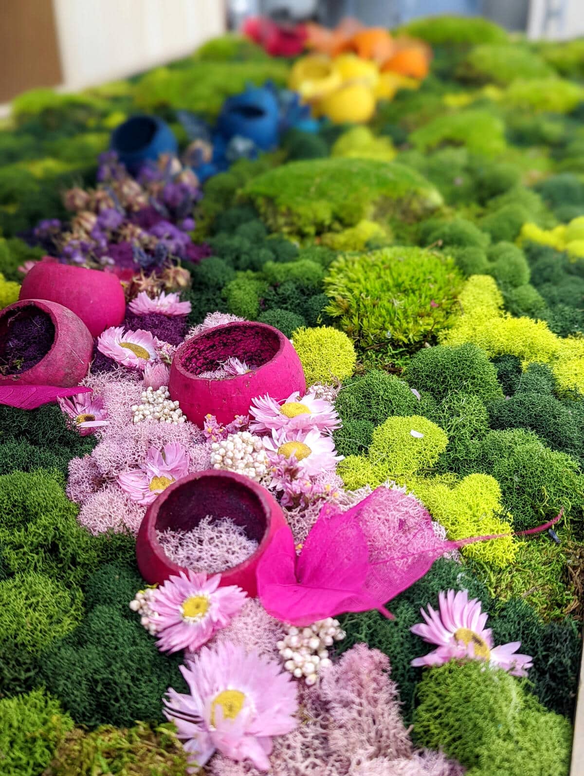 Premier Moss Art | Niagara | The Watering Can Flower Market