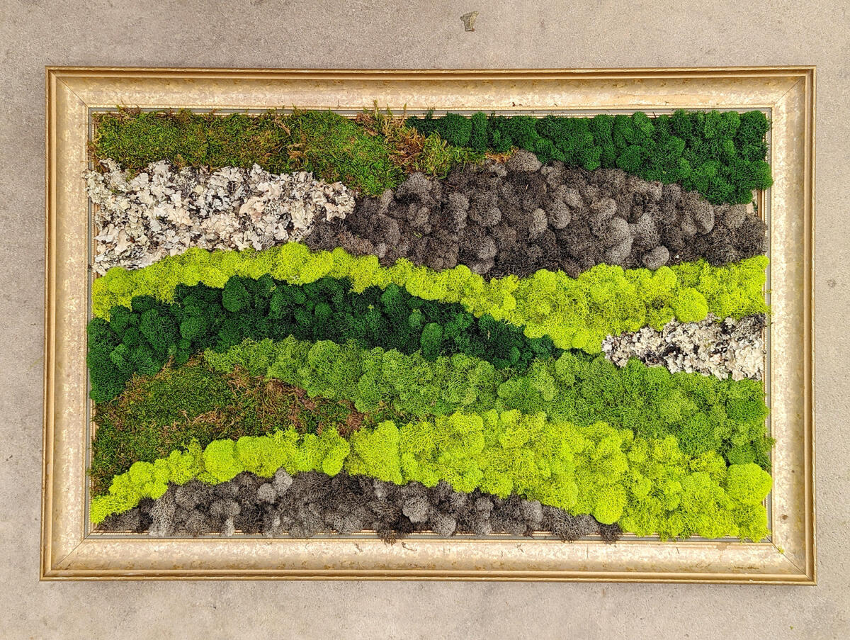 Premier Moss Art | Niagara | The Watering Can Flower Market