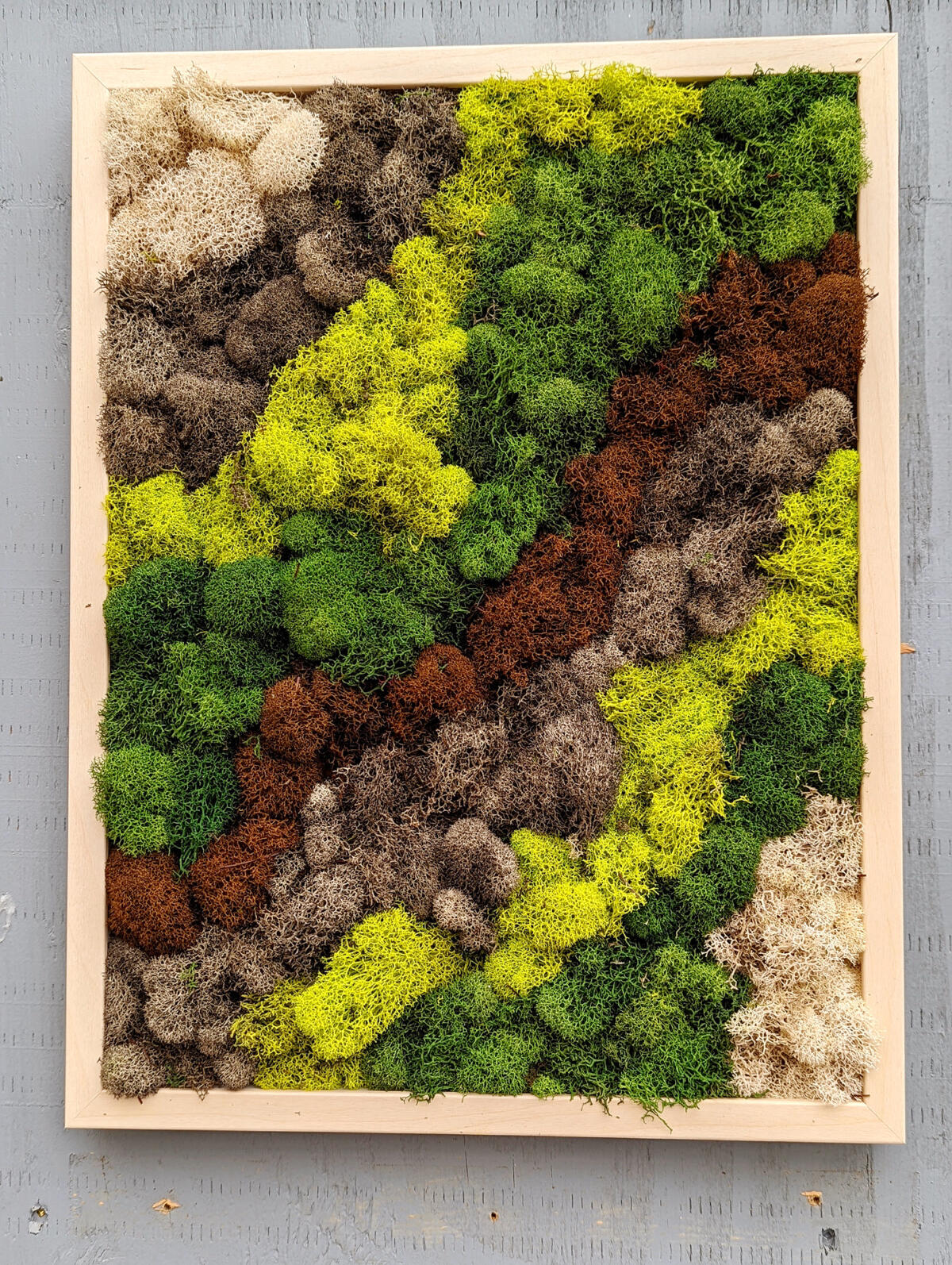 Premier Moss Art | Niagara | The Watering Can Flower Market