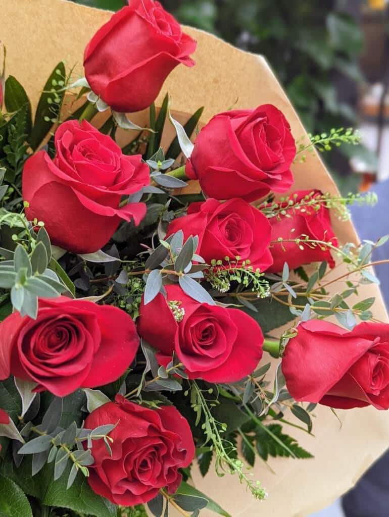 1 Dozen Red Roses | The Watering Can Flower Market