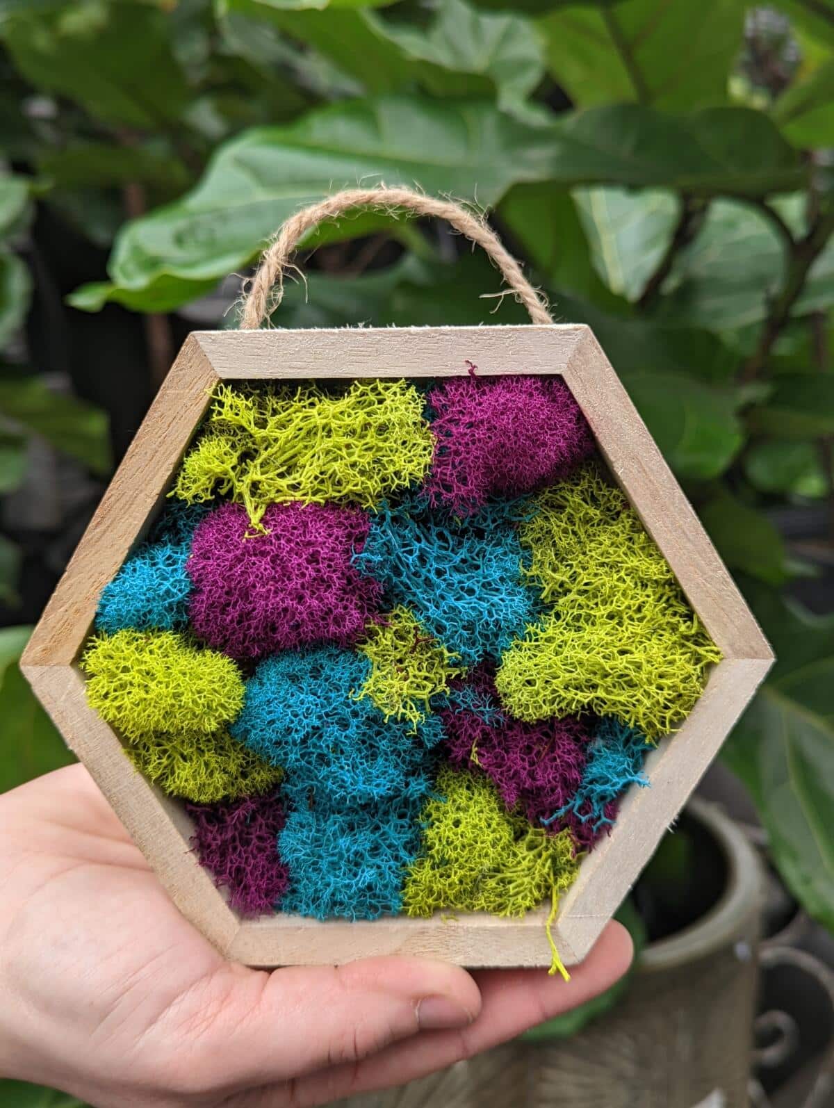 Mini Moss Frame DIY | The Watering Can Flower Market