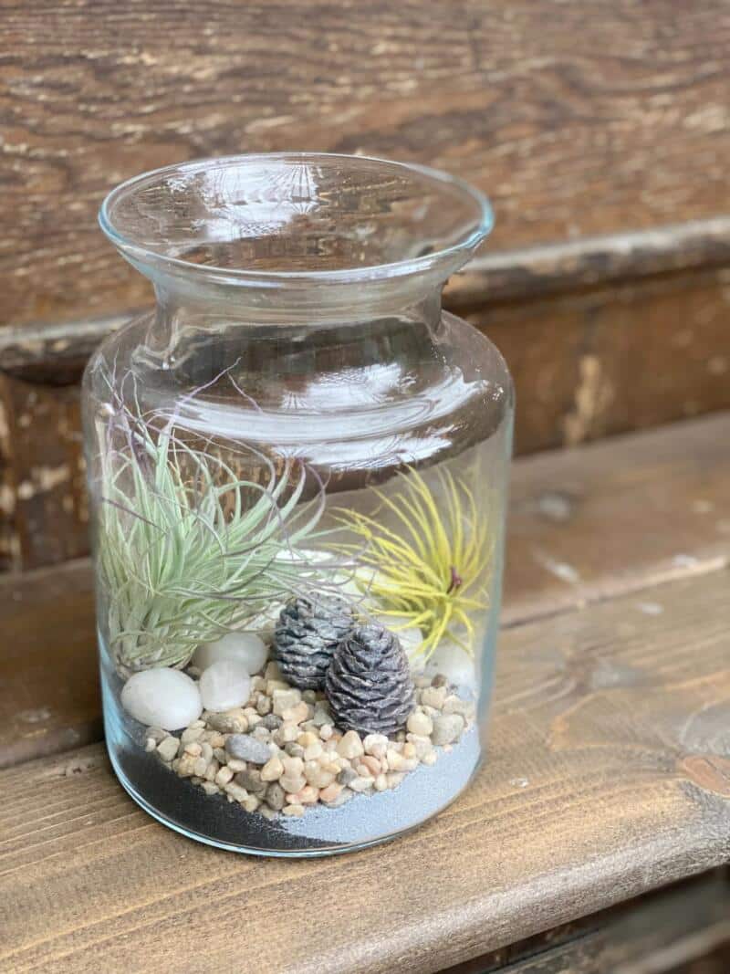 Sand Oasis DIY | The Watering Can Flower Market