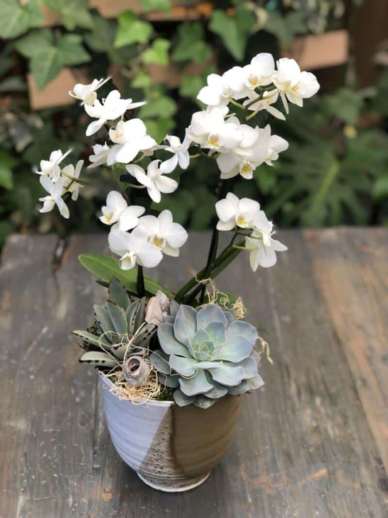 Do It Yourself Kits | The Watering Can Flower Market