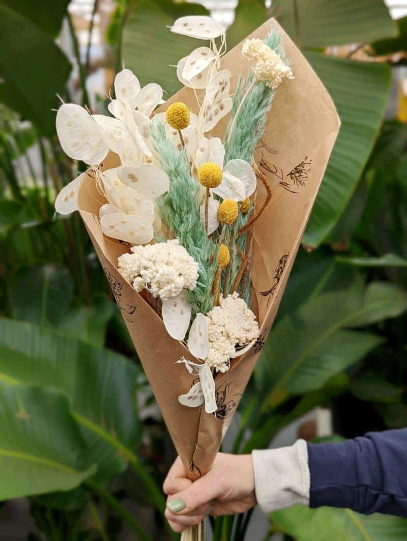 Dried Flowers | The Watering Can Flower Market