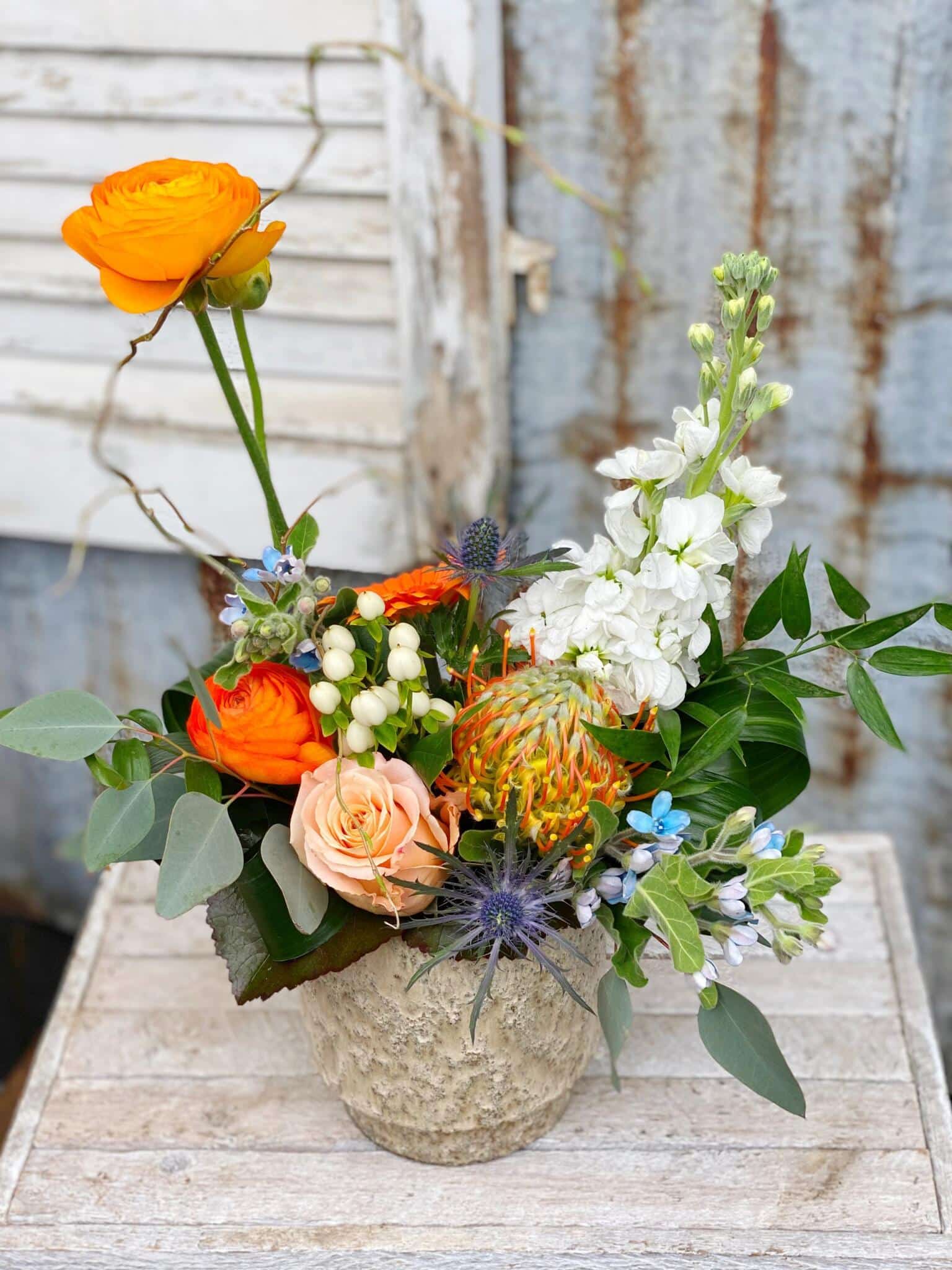 Sunburst | The Watering Can Flower Market