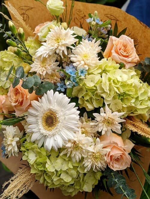 Soft Light | The Watering Can Flower Market