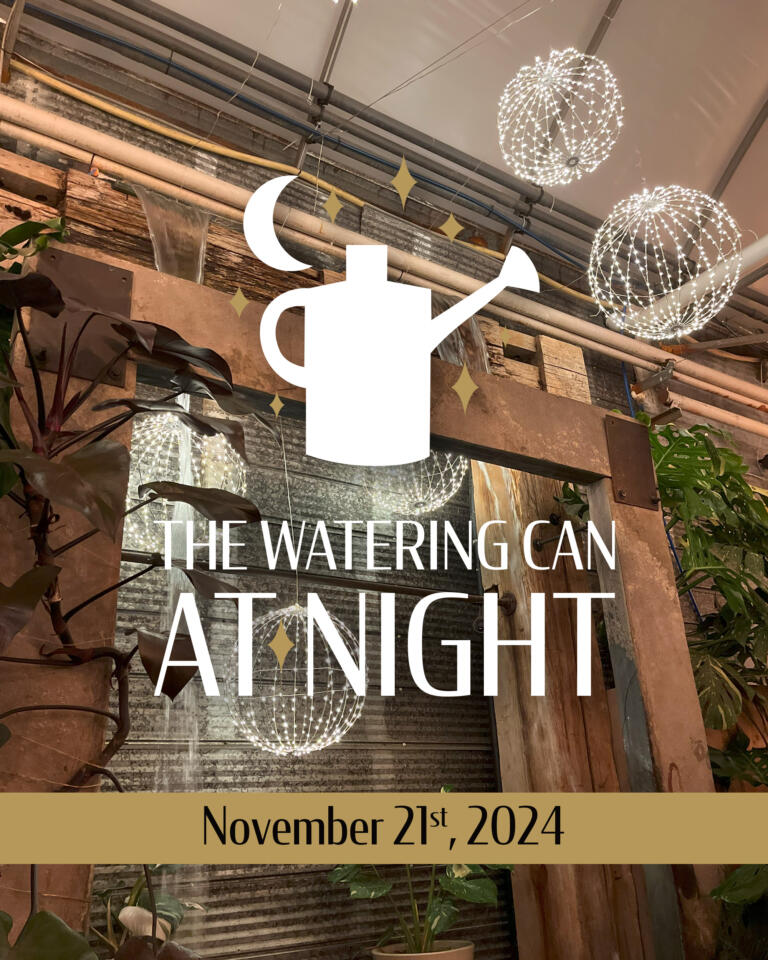 Tropical & Winter Garden Tea | The Watering Can Flower Market