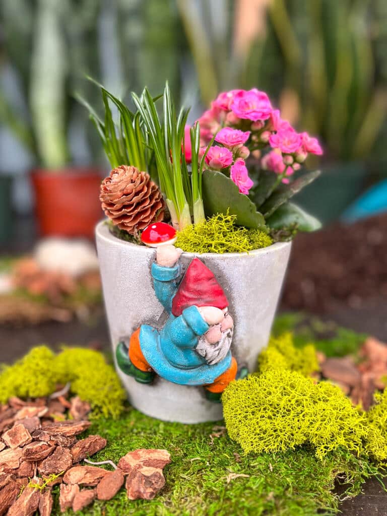 Do It Yourself Kits | The Watering Can Flower Market