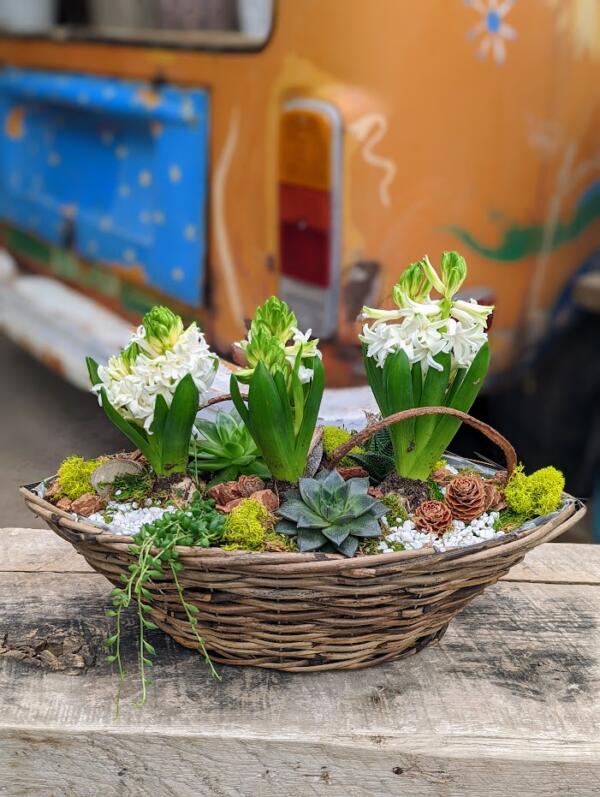 Splash into Spring | The Watering Can Flower Market