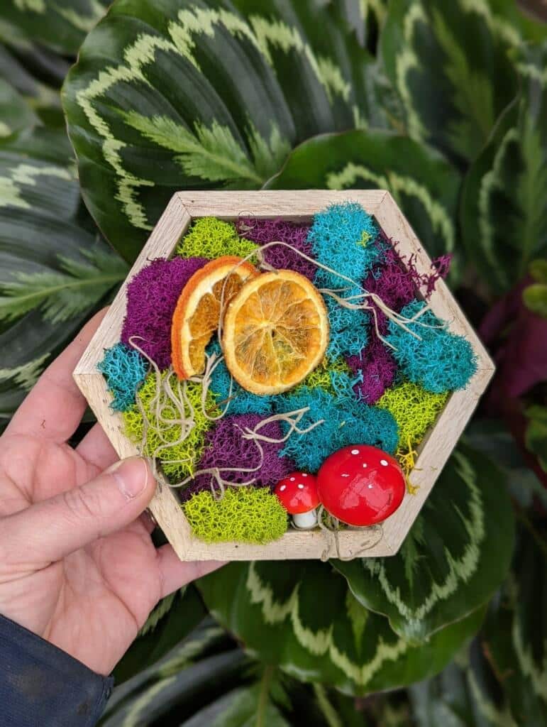 Mini Moss Frame - DIY | The Watering Can Flower Market