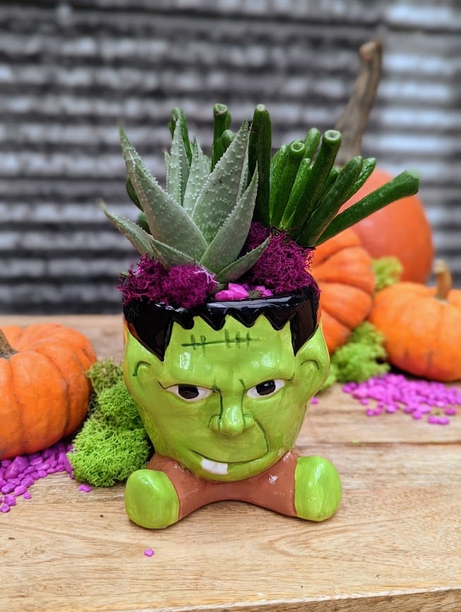 Frightly Frank - DIY | The Watering Can Flower Market