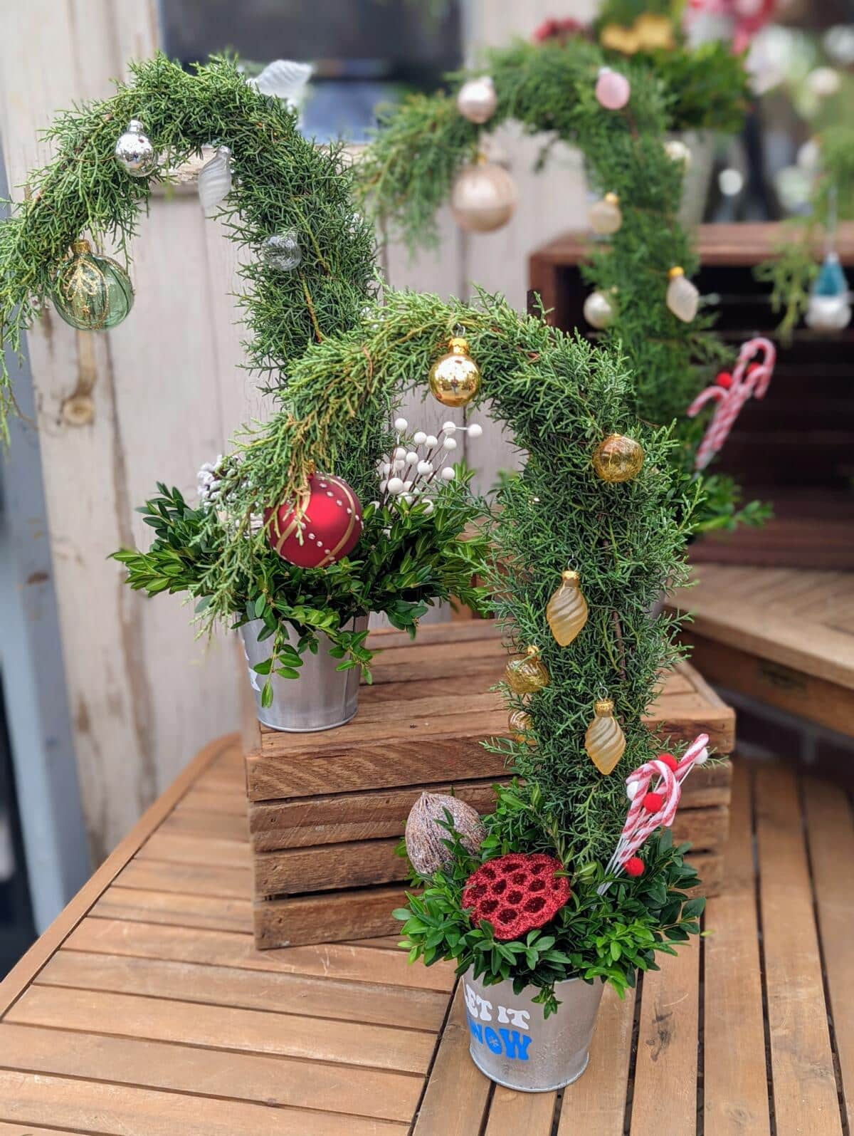 Momma Grinch Tree | The Watering Can Flower Market