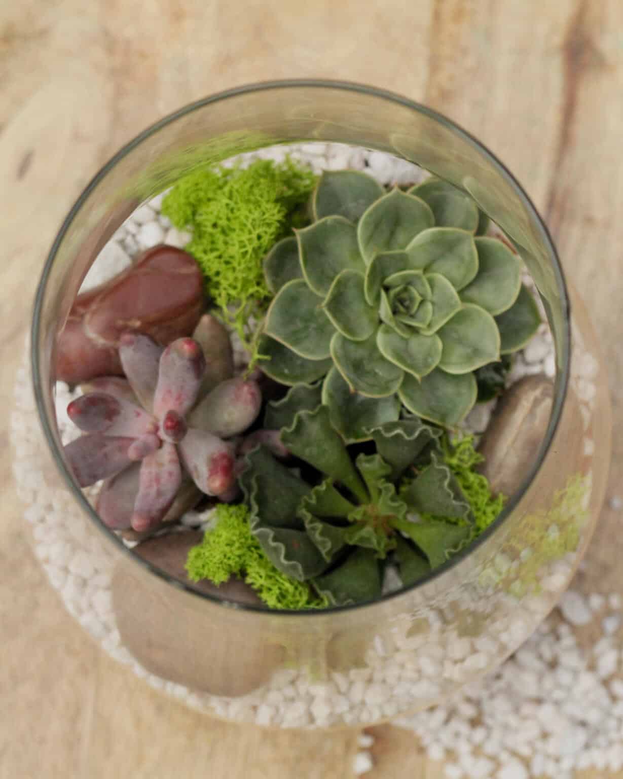 Do It Yourself Kits | The Watering Can Flower Market