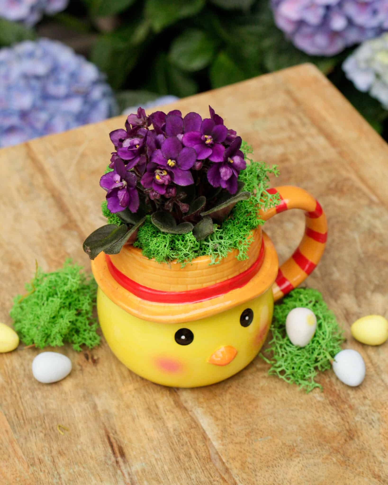 Little Chick - DIY | The Watering Can Flower Market