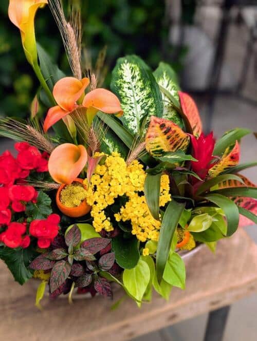 Autumn Radiance | The Watering Can Flower Market