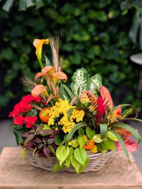 Autumn Radiance | The Watering Can Flower Market