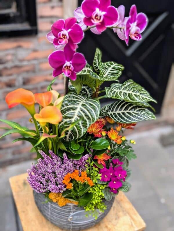 Hocus Pocus | The Watering Can Flower Market